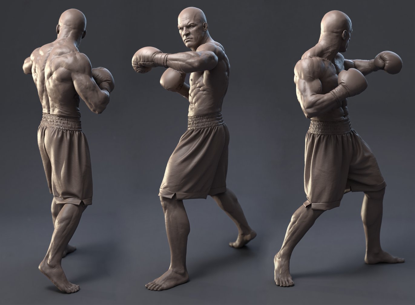 sandeep-vs-boxerturnaround.jpg (1371×1007)图片_男 动态 人体 肌肉图片素材-花瓣网