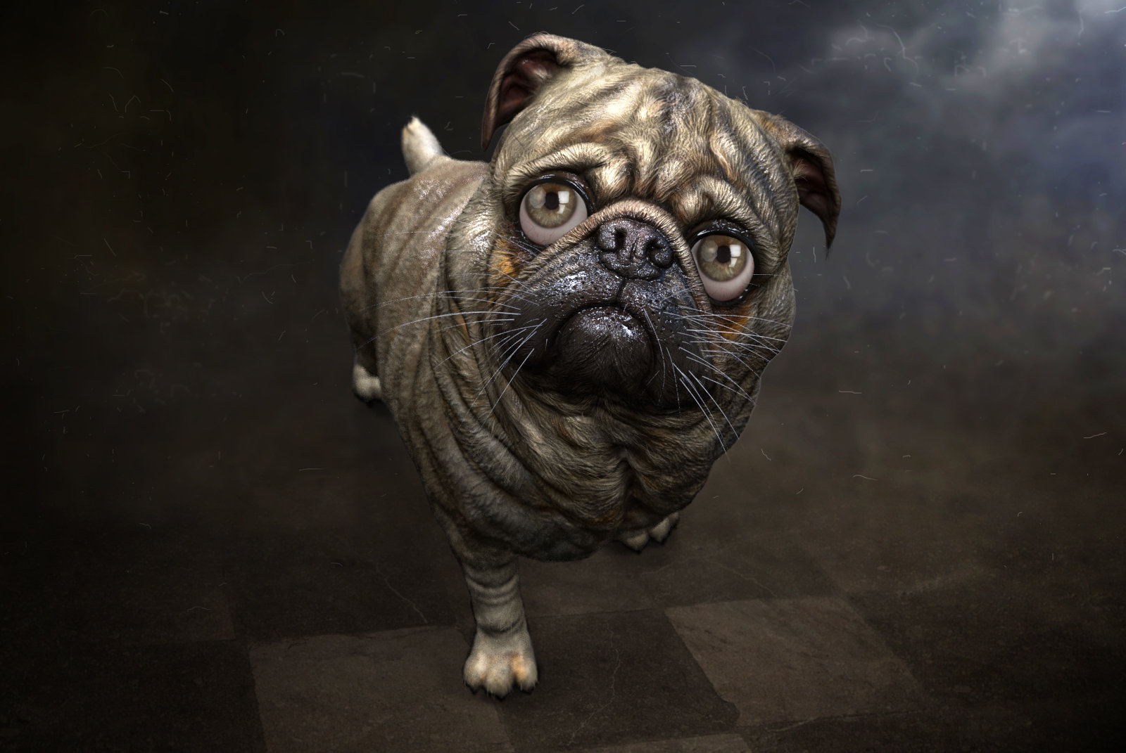 'Anatomy study - Pug' by Daniel Midholt : r/ImaginaryAnimals