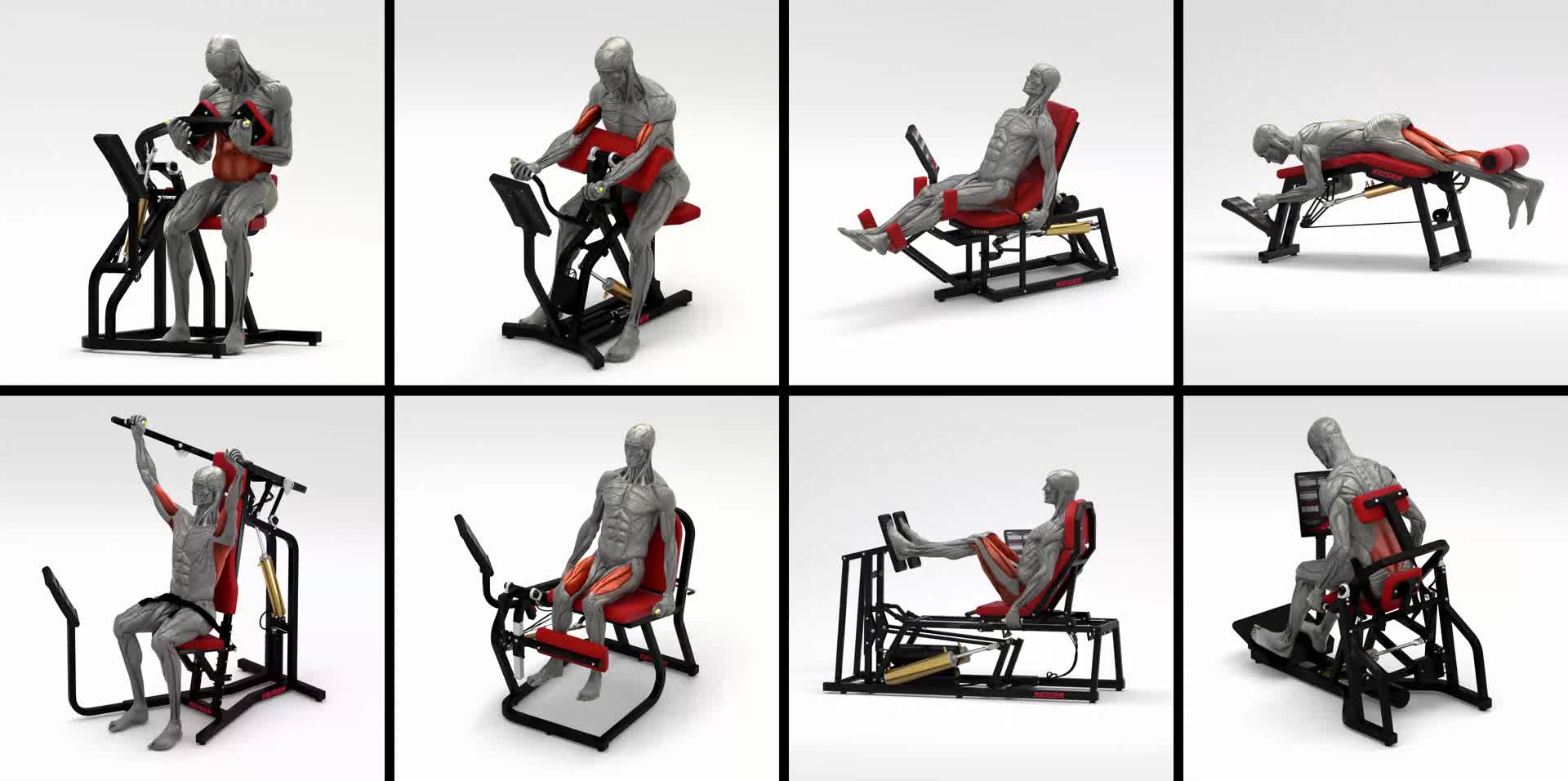 Animated Gym Workout