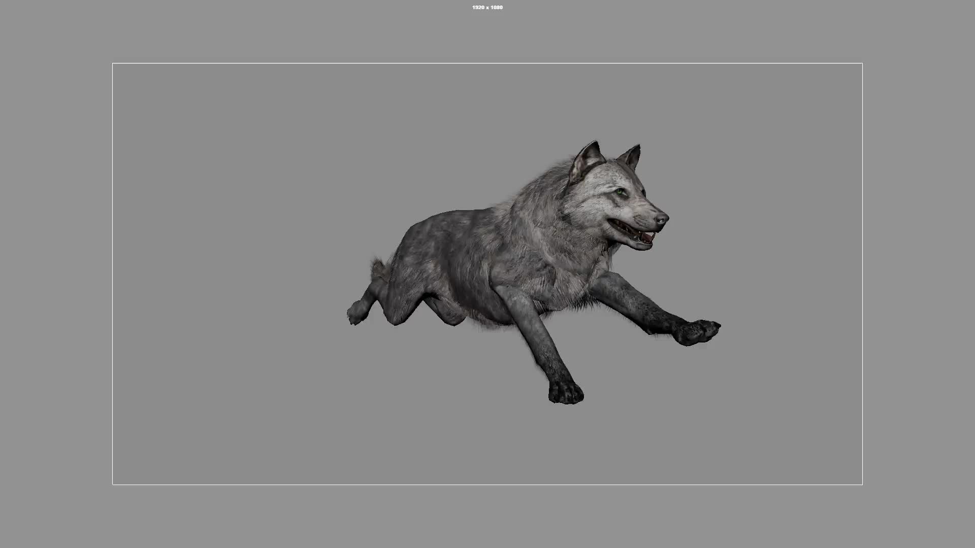 Wolf Run Cycle Steps