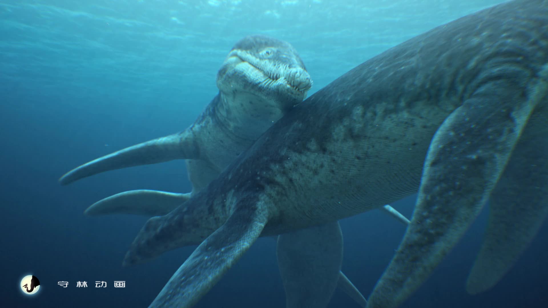 Liopleurodon Vs Predator X A Dinosaur Liopleurodon On White Background