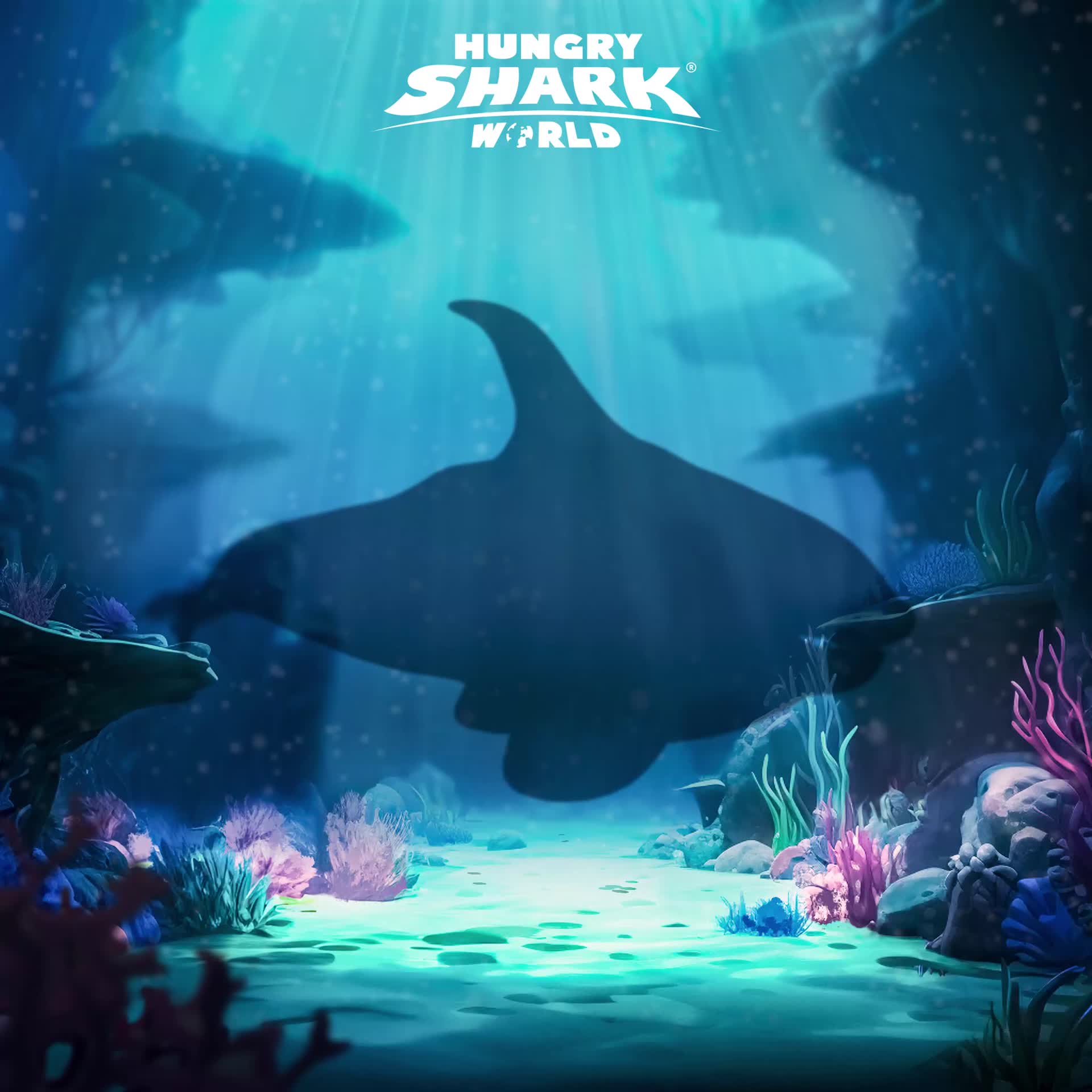 Hungry Shark Wallpaper Hd 4k Pc - Infoupdate.org